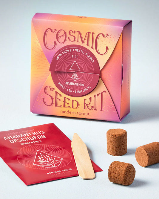 Astrology + Zodiac Signs | Birthday Gifts