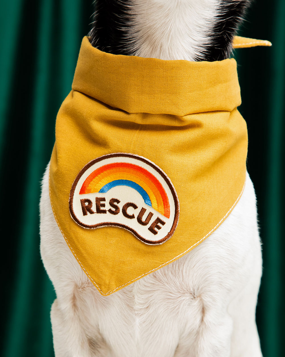 Rescue Dog Patch