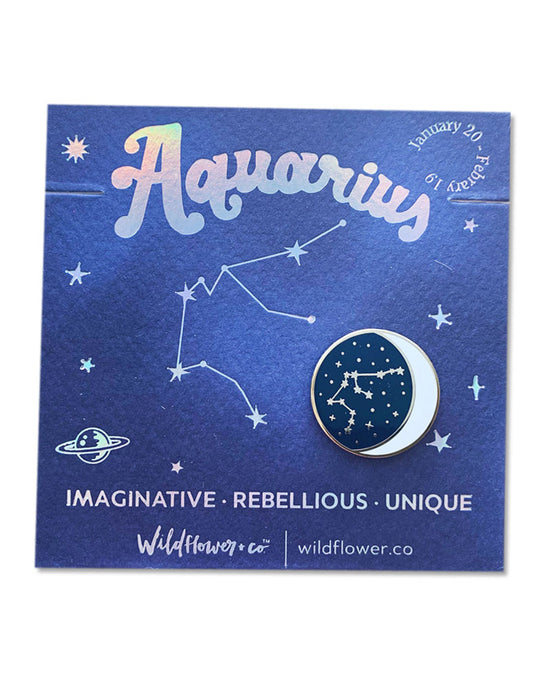 Aquarius Zodiac Constellation Pin